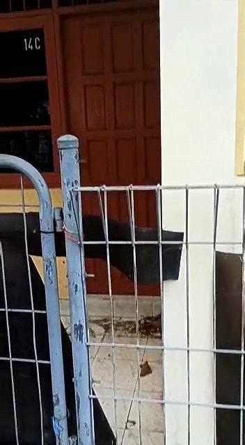 Watch Sexgrass Hot Bang Anal Porn Spankbang