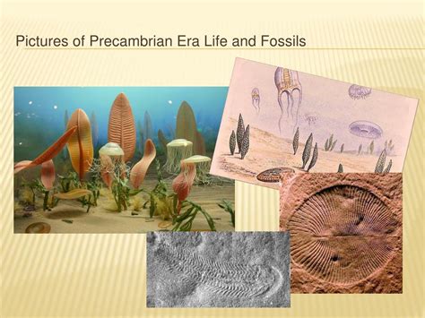 Ppt Geologic Time Powerpoint Presentation Free Download Id 1931972
