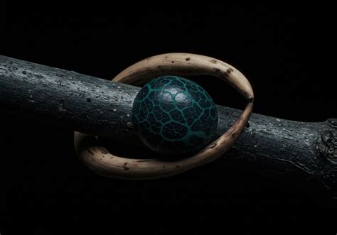 Integrated Resource Planning → Academic