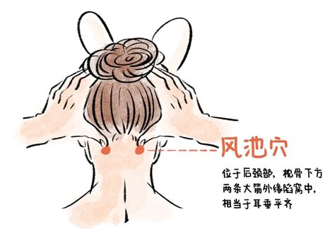 风寒入口——风池穴 健康160