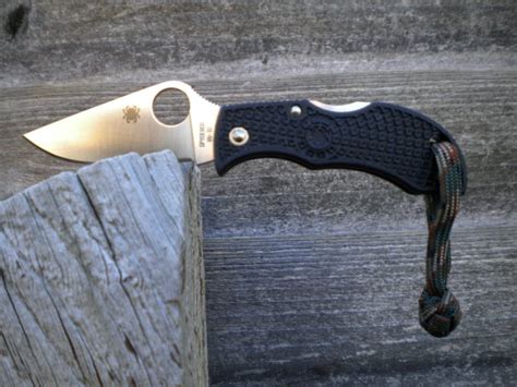 Manbug Vs Ladybug Sell Me On One Or The Other