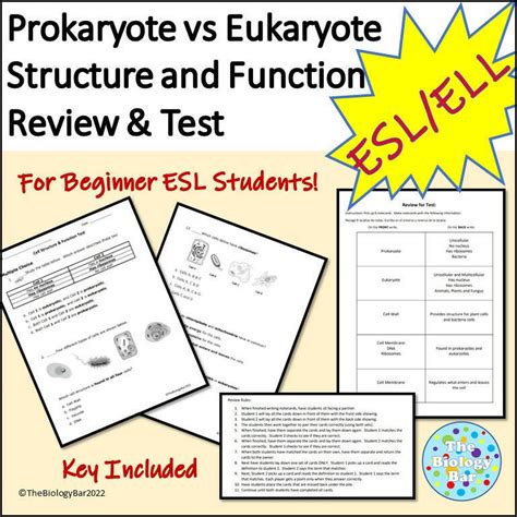 Biology Cell Structure And Function Review And Test Bilingual Marketplace