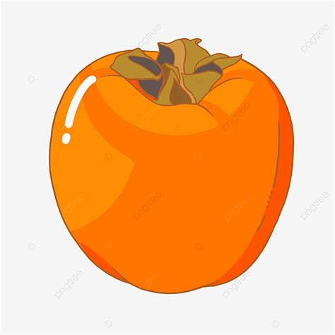 만화 일러스트 손으로 그린 과일 감 만화 손으로 그린 과일 Png 일러스트 및 Psd 이미지 무료 다운로드 Pngtree