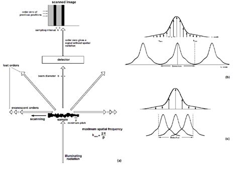A Scanning Microscopy B Nyquist Sampling C Subsampling Download