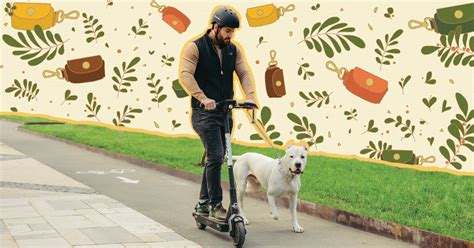 რჩევები სქროლისა და რინგოსგან • Scroll