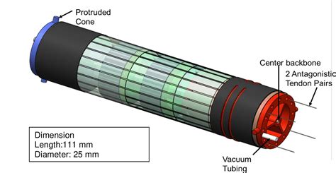 Figure 2 21 From Development Of A Tendon Driven Variable Stiffness Continuum Robot With Layer