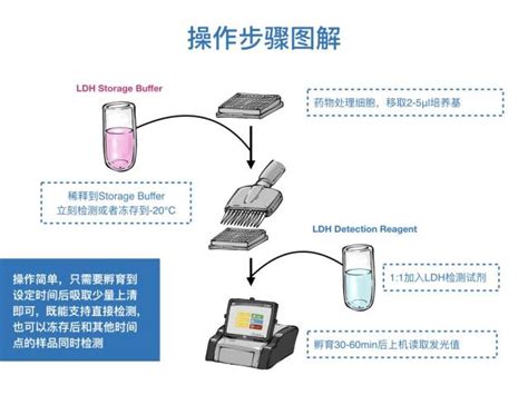 Ldh Glo 发光法细胞毒性检测专场演出（promega 漫画小剧场） 丁香园