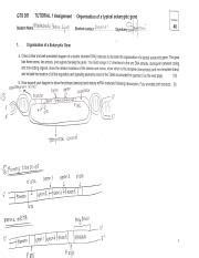 GTS Tutorial Assignment Pdf Course Hero