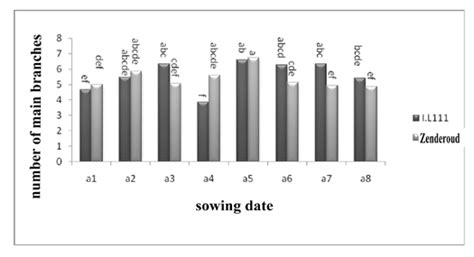 Reciprocal Effect Of Sowing Date Of Cultivar On Number Of Main Branches Download Scientific