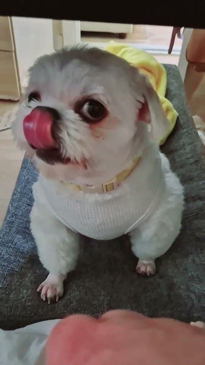 사랑해하나 엄마딸♡ Youtube