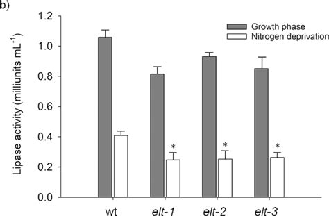 Enzymatic Activity Assay On Mutants And Wt Strains Lipase Activity Of