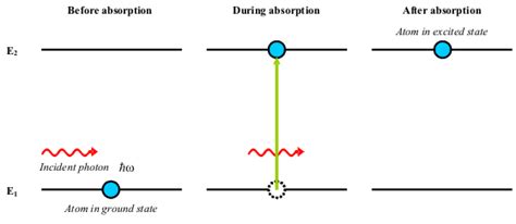 Rabi Oscillations Quantum Optics