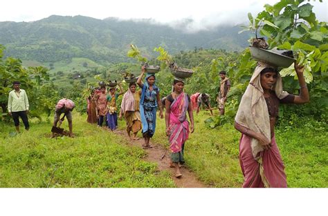 [commentary] The Underbelly Of The Forest Conservation Amendment Bill