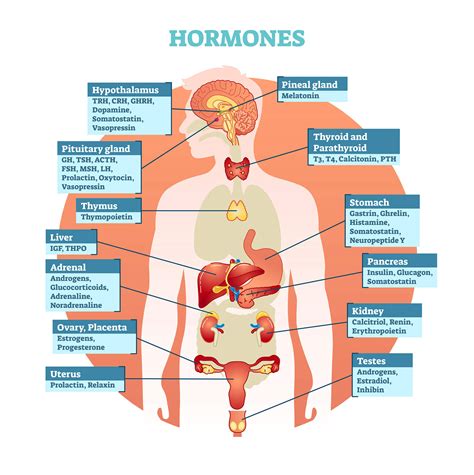 Hormonal Disorders Dubai Homeopathy Health Center