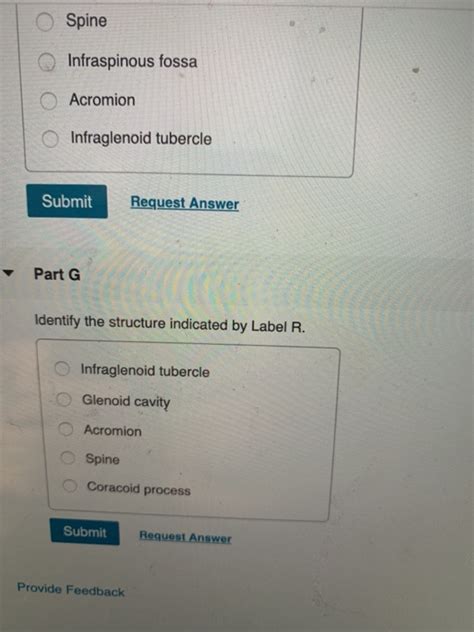 Solved Course Home Chegg