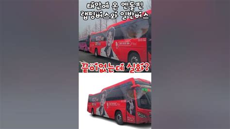 트로트 가수 박지현 팬카페 엔돌핀 태안에 이렇게 많은 랩핑버스가 왔습니다 Youtube