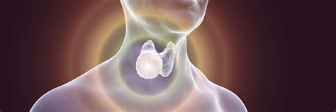 Ewha Womans University Mokdong Hospital