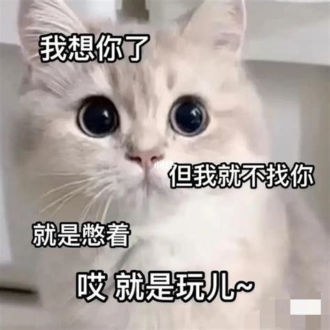 疯狂暗示表情图片 疯狂暗示表情包图片 苗苗知道