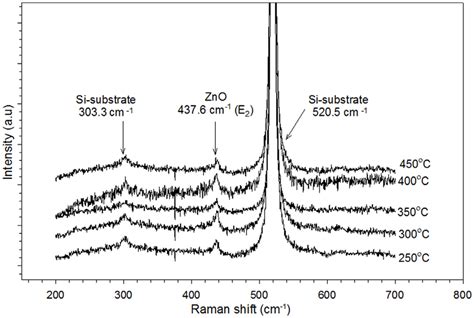 Raman Spectra Of Grown Zno Nanorods Formed On Seeds Heat Treated At