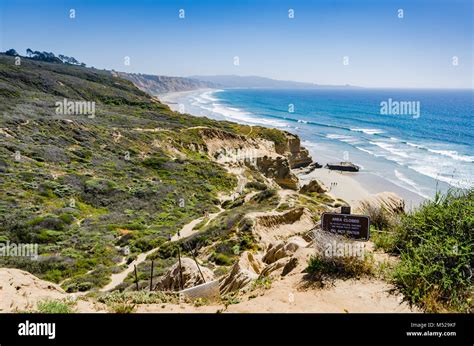 Torrey Pines State Natural Reserve Located Within San Diego City