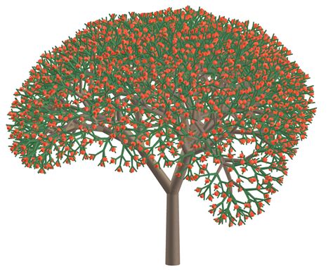 Polyhedra 2 Didactic Material In Virtual Reality And Augmented Reality