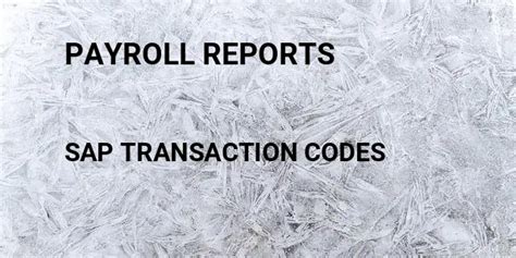 Payroll Reports Tcode In Sap Transaction Codes List