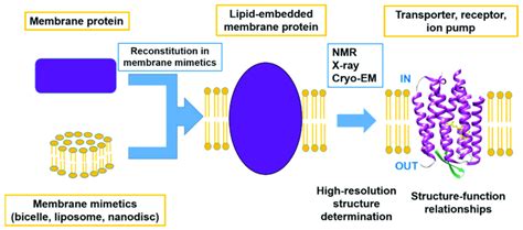 schematic image of advanced research on the structure function