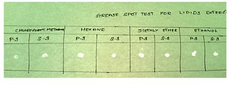 Grease Spot Test For Lipids Download Scientific Diagram