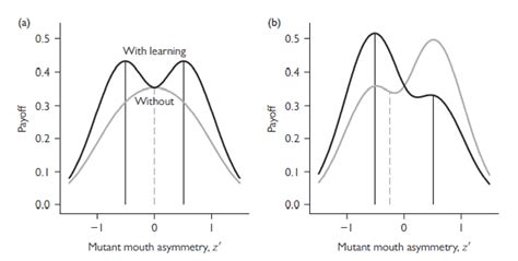 经济代写演化博弈论代写game Theory In Biology代考econ90022 统计代写答疑辅导