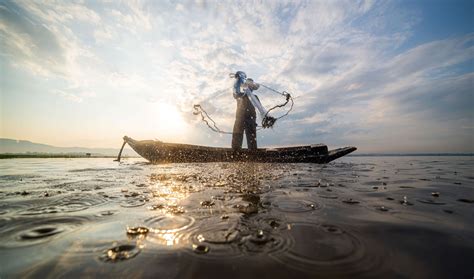 Dovetail Impact Foundation