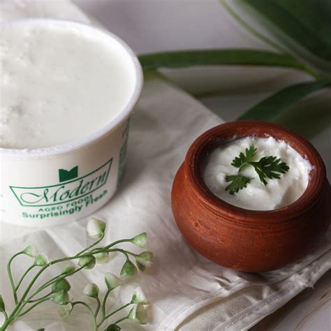Special Malai Dahi Modern Foods
