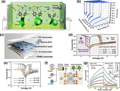 A Review On Device Requirements Of Resistive Random Access Memory Rram Based Neuromorphic