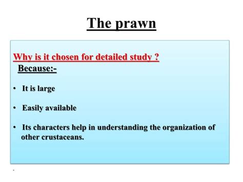B Subphylum Crustaceapptzzzzzzzzzzzzzzz Ppt