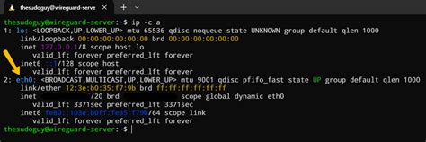 How To Setup Your Own Wireguard Vpn Server On Debian 11 Linux System Administration Web