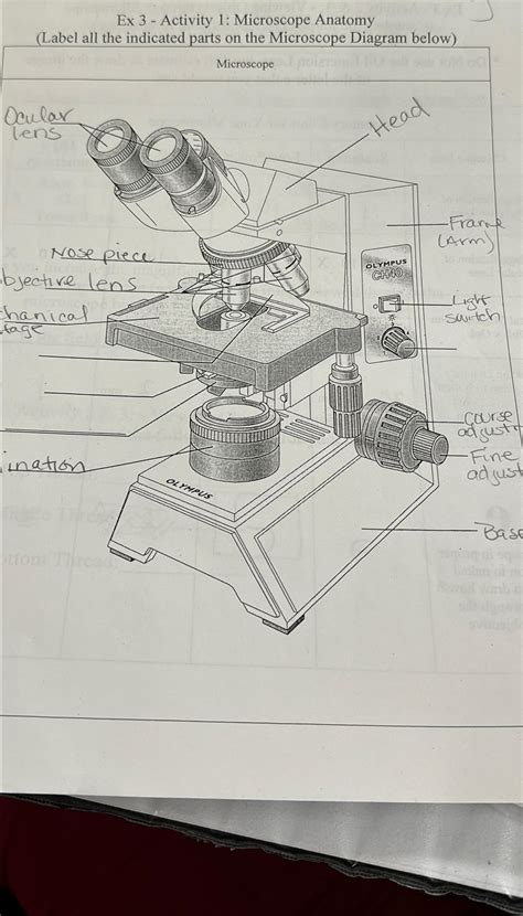 Solved Ex 3 ﻿activity 1 Microscope Anatomylabel All The