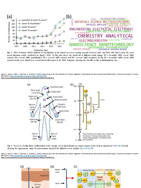 Sweat Sensing And Wearable Sweat Sensors Latest Review Pdf