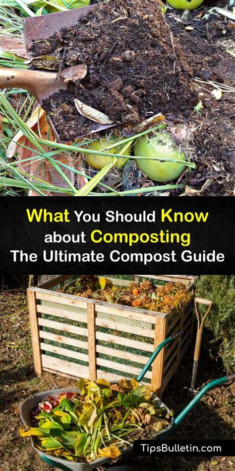 What Is Composting And Why I Should Try It