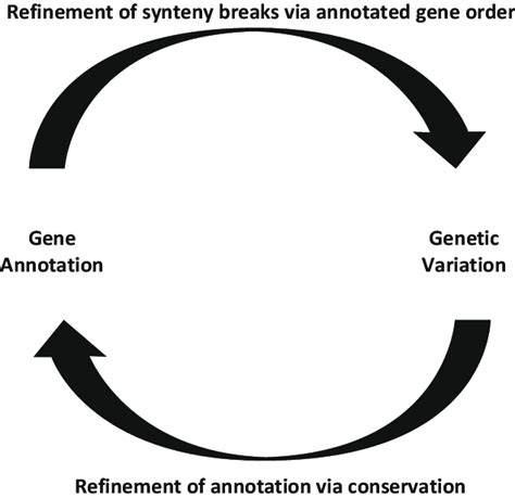 1 Illustration Of The Synergistic Relationship Between Systematic And Download Scientific