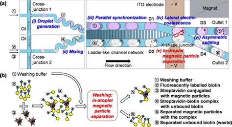 A Schematic Workflow Of The Proposed Droplet Based Microfluidic