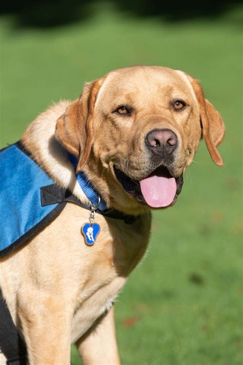 Logan Mcmullen On Linkedin Community