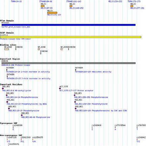 Classification Of Mutation Types By Effect On Functions Download Table