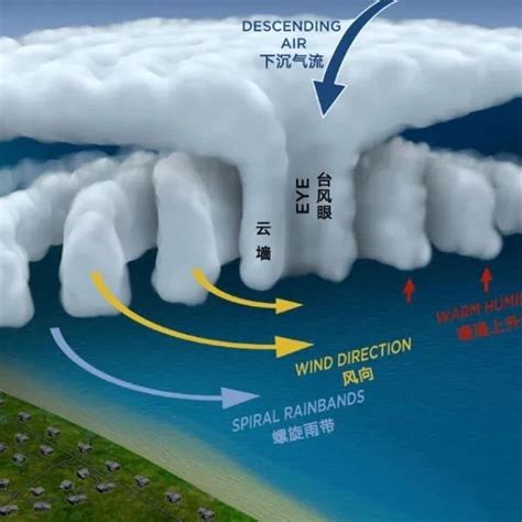 【高三地理】山谷风、峡谷风、焚风、布拉风、冰川风、干热风等八种地方性风，附气压带和风带专题精讲 龙卷风 新浪新闻