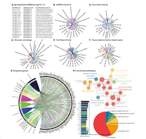 Comprehensive Analysis Of Upregulated Differentially Expressed Mirnas