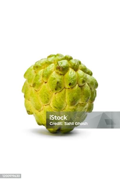 설탕 사과 또는 커스터드 애플 흰색 배경에 고립 0명에 대한 스톡 사진 및 기타 이미지 0명 가시여지 건강한 생활방식