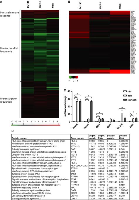 A Heat Map Showing The Hierarchical Clustering Of Log Fold Change Download Scientific
