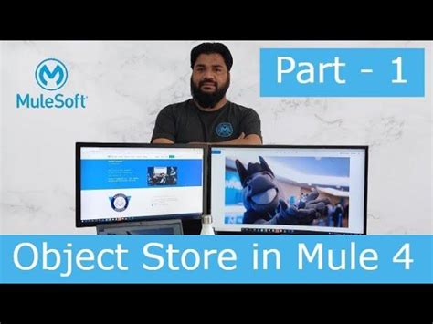 Mulesoft Mulesoftcommunity Mulesoftdevelopers Objectstore Shekh Muenuddeen