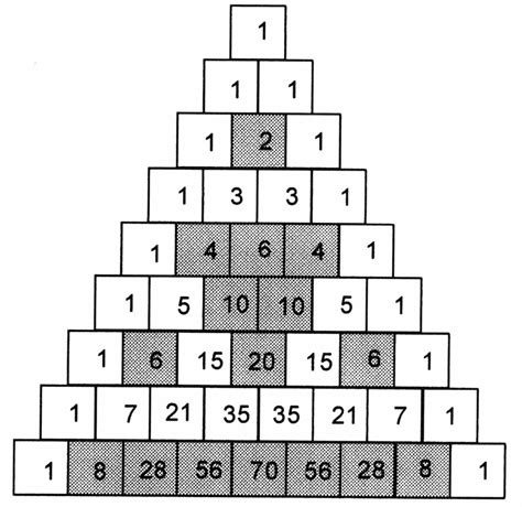 Pascals Triangle Example Lesson Explainer Pascals Triangle Mmvacl