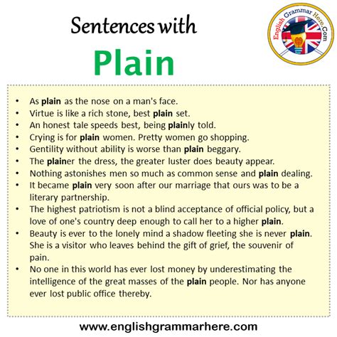 Sentences With Plain Plain In A Sentence In English Sentences For