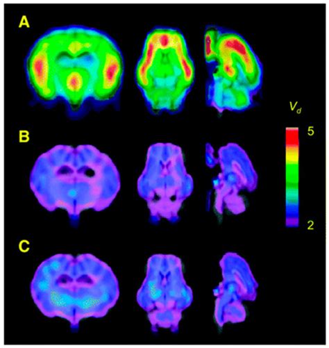 Molecules Special Issue Radiolabeled Compounds For Diagnosis And