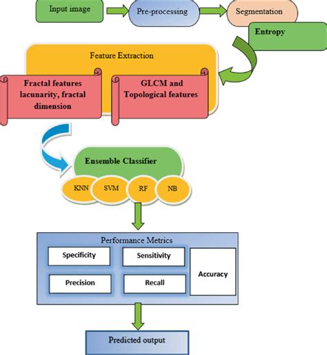 microcalcification detection using ensemble classifier springerlink